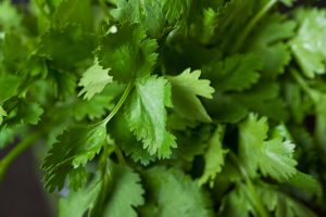Desintoxicación con cilantro - Pregúntale a Frank